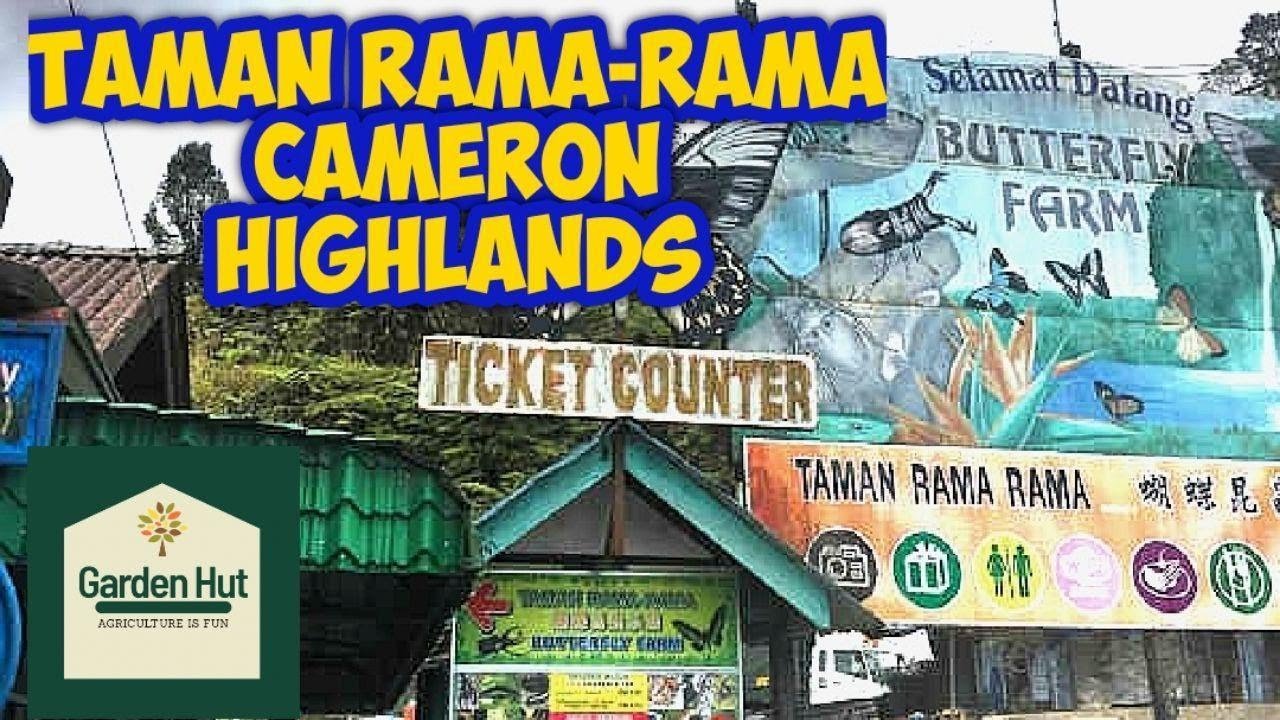10 Tempat Menarik Di Cameron Highland - Aku Muslim